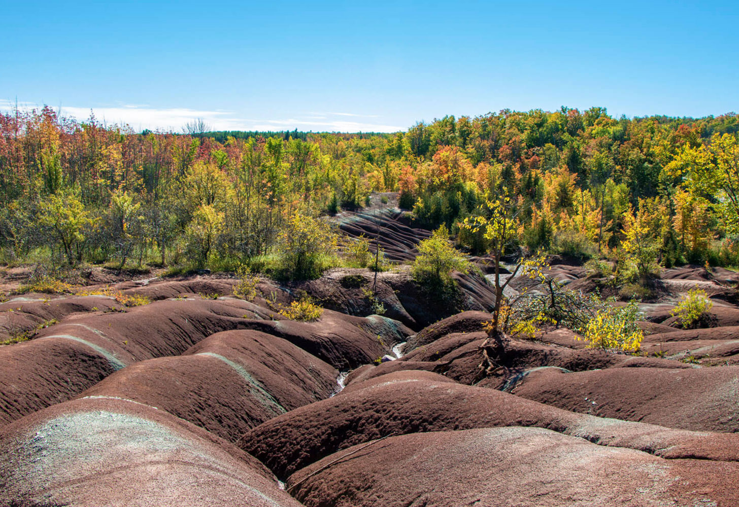 5 of the Best Trails & Conservation Areas Near Our Communities - Cachet ...